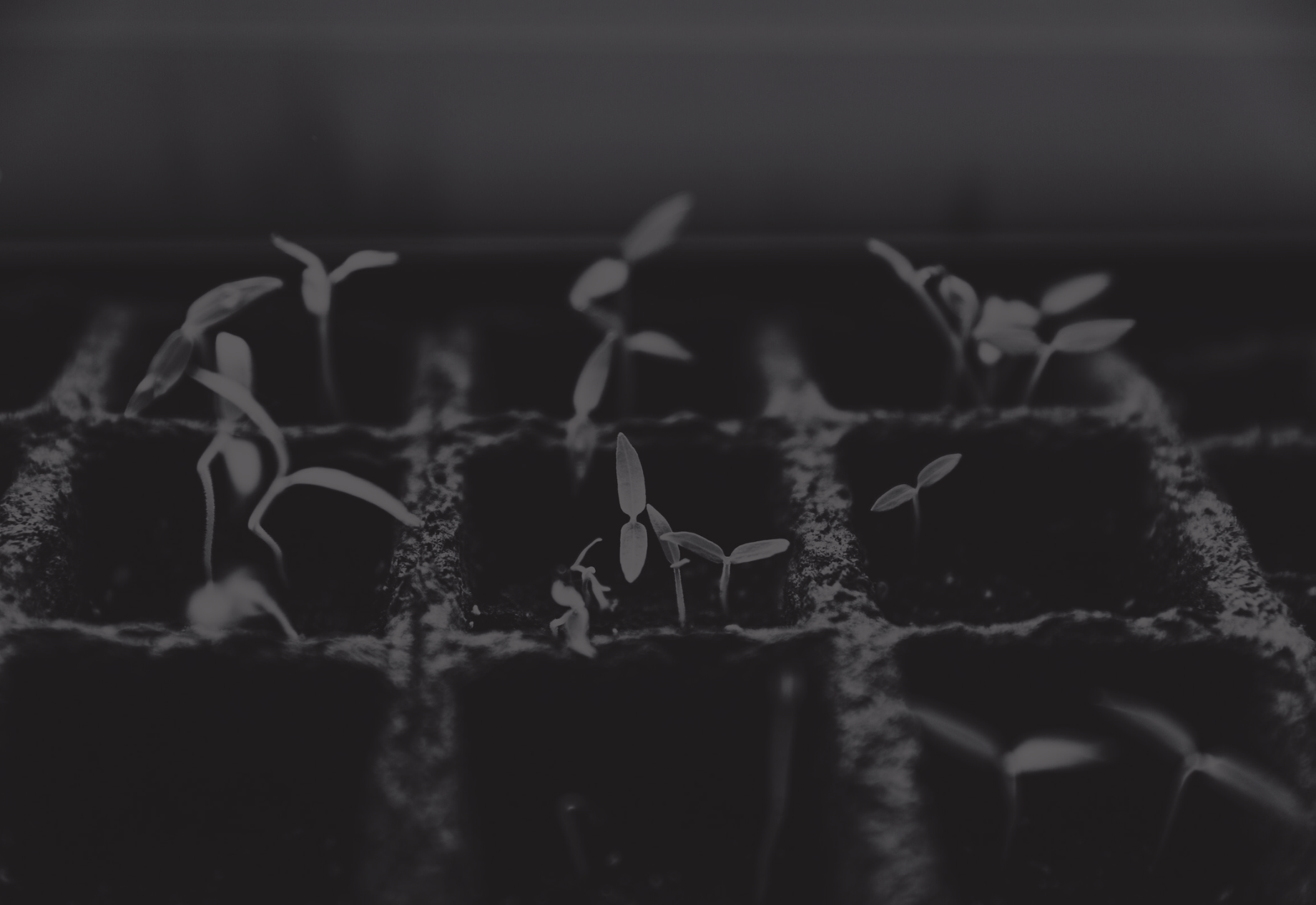 Inbound Marketing: 5 Reasons to Fuel Business Growth